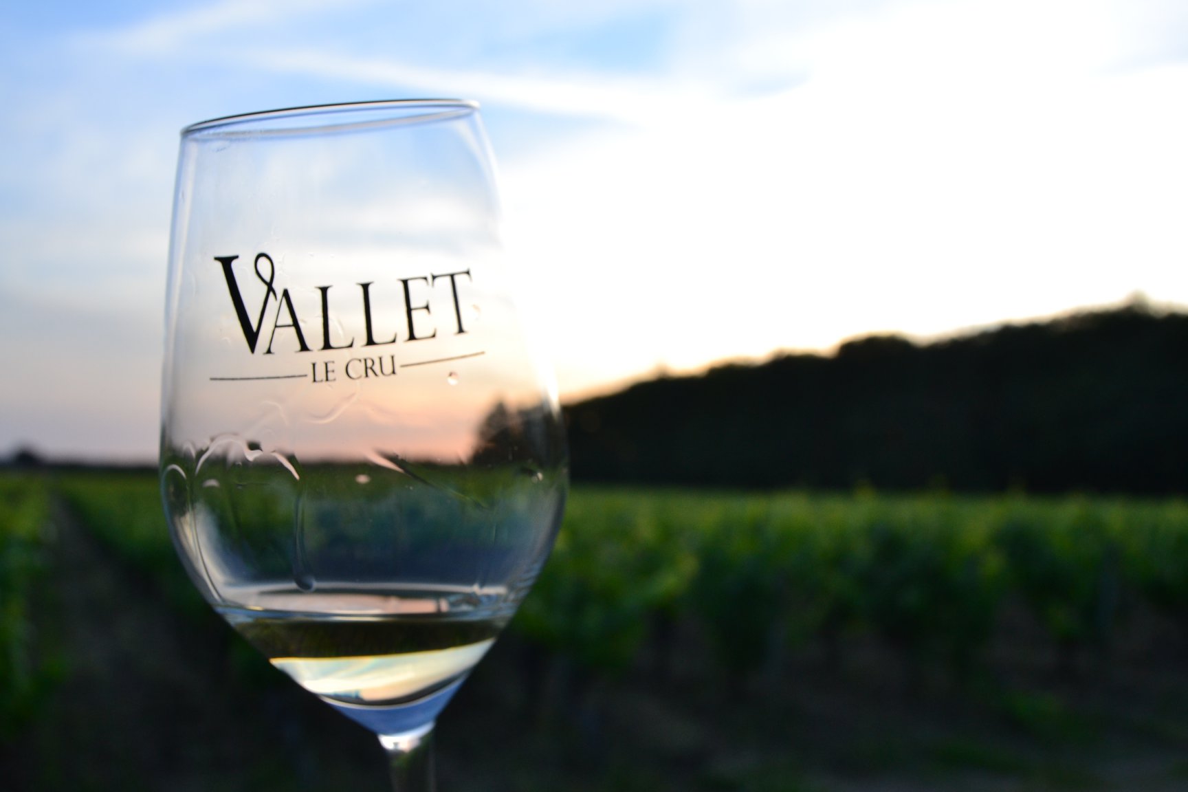 Cru Vallet verre soirée cru - Cru Vallet